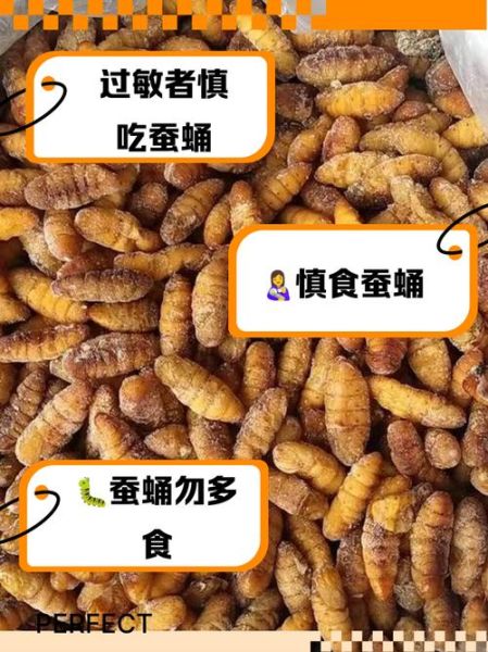蚕蛹不能和什么一起吃_吃蚕蛹的禁忌食物有哪些-第2张图片-山城妙识 蚕蛹不能和什么一起吃_吃蚕蛹的禁忌食物有哪些-第2张图片-山城妙识