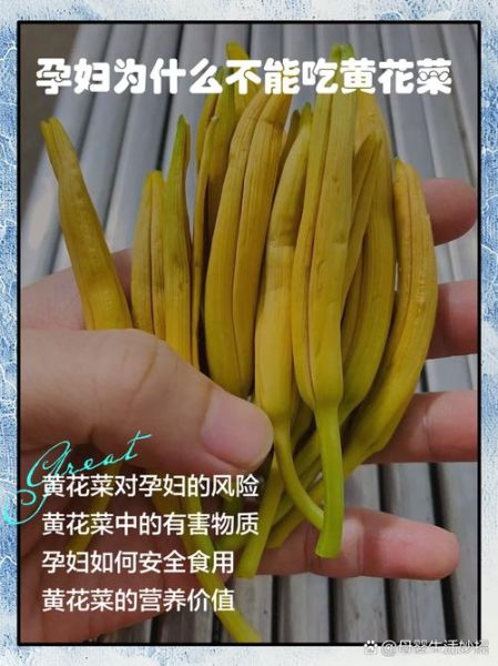 黄花菜的功效与作用有哪些_孕妇能吃黄花菜吗-第3张图片-山城妙识