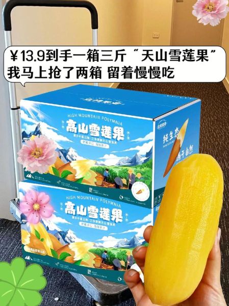 天山雪莲多少钱一朵_正宗雪莲价格区间-第1张图片-山城妙识