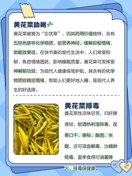黄花菜的功效与作用有哪些_孕妇能吃黄花菜吗-第2张图片-山城妙识