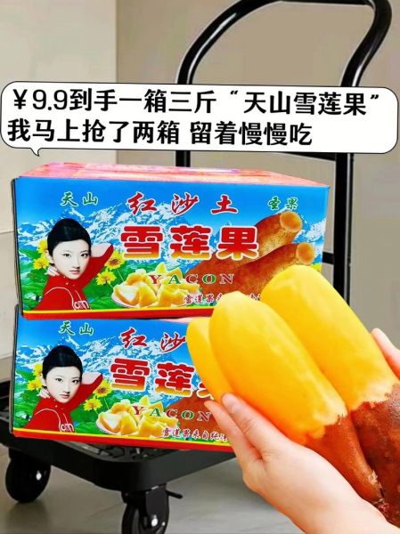 天山雪莲多少钱一朵_正宗雪莲价格区间-第2张图片-山城妙识