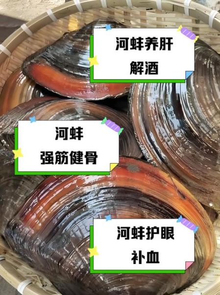 家里养河蚌会倒霉吗_风水禁忌真相-第3张图片-山城妙识