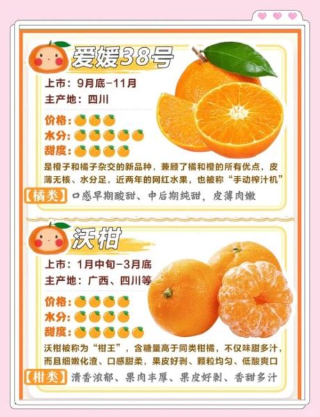最好吃的橙子排名_哪种橙子最甜-第3张图片-山城妙识 最好吃的橙子排名_哪种橙子最甜-第3张图片-山城妙识