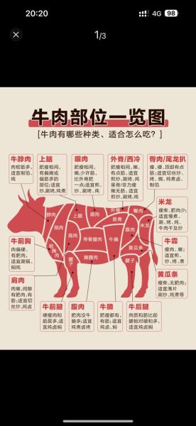 吃牛肉的好处有哪些_牛肉对身体有什么好处-第2张图片-山城妙识 吃牛肉的好处有哪些_牛肉对身体有什么好处-第2张图片-山城妙识