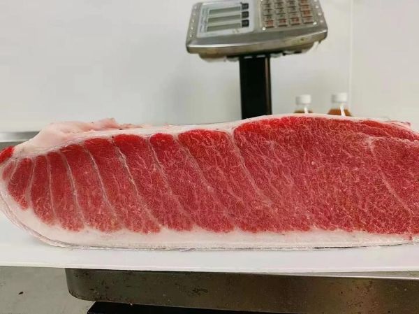 蓝鳍金枪鱼大腹多少钱一斤_如何挑选顶级部位-第2张图片-山城妙识 蓝鳍金枪鱼大腹多少钱一斤_如何挑选顶级部位-第2张图片-山城妙识