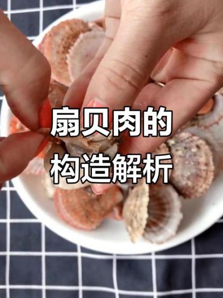 扇贝肉内脏怎么清理_扇贝内脏清理图解-第1张图片-山城妙识