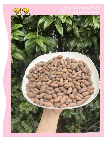 香榧怎么吃_香榧一天吃多少粒-第1张图片-山城妙识