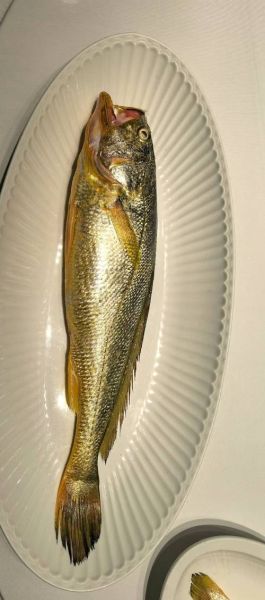 野生黄鱼价格多少钱一斤_野生大黄鱼多少钱一斤-第3张图片-山城妙识