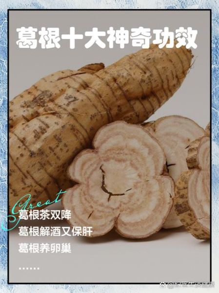 粉葛的功效与作用是什么_粉葛怎么吃最养生-第3张图片-山城妙识