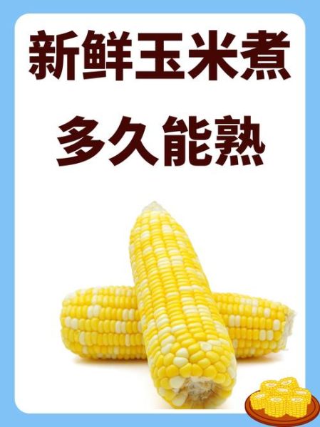 玉米煮多久能熟_玉米煮多久才软糯-第2张图片-山城妙识