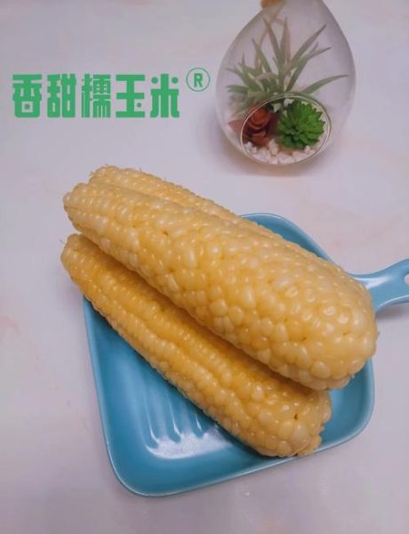 玉米煮多久能熟_玉米煮多久才软糯-第3张图片-山城妙识