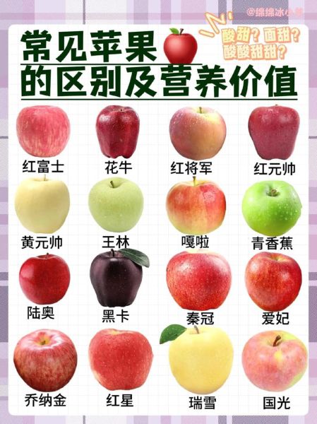 苹果的营养价值_苹果的功效与作用有哪些-第2张图片-山城妙识