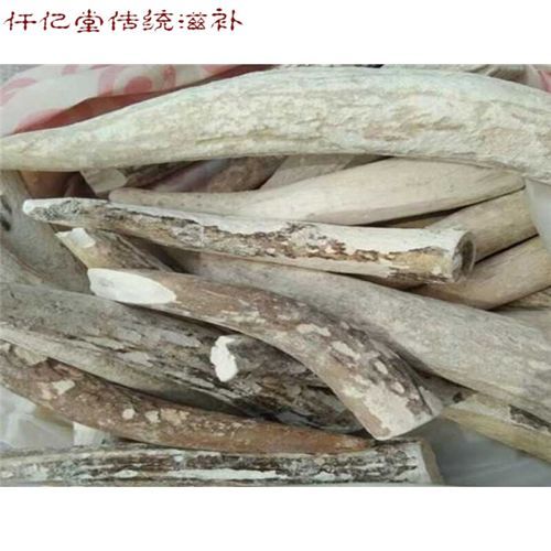 鹿角霜的功效与作用_鹿角霜主治什么病-第3张图片-山城妙识 鹿角霜的功效与作用_鹿角霜主治什么病-第3张图片-山城妙识