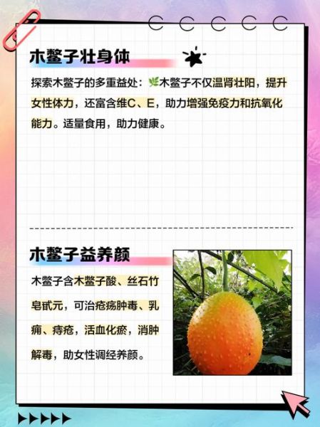 木鳖子副作用有哪些_木鳖子吃了会中毒吗-第1张图片-山城妙识 木鳖子副作用有哪些_木鳖子吃了会中毒吗-第1张图片-山城妙识