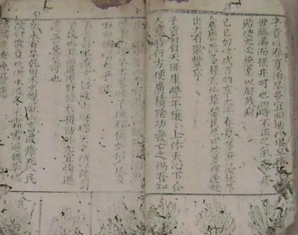 瓜蒌薤白白酒汤用量多少_瓜蒌薤白白酒汤配方比例-第2张图片-山城妙识 瓜蒌薤白白酒汤用量多少_瓜蒌薤白白酒汤配方比例-第2张图片-山城妙识