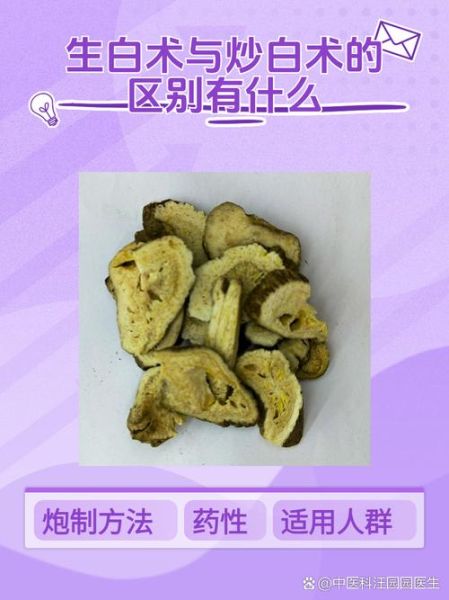 白术炒与不炒的区别_生白术和炒白术功效差异-第2张图片-山城妙识