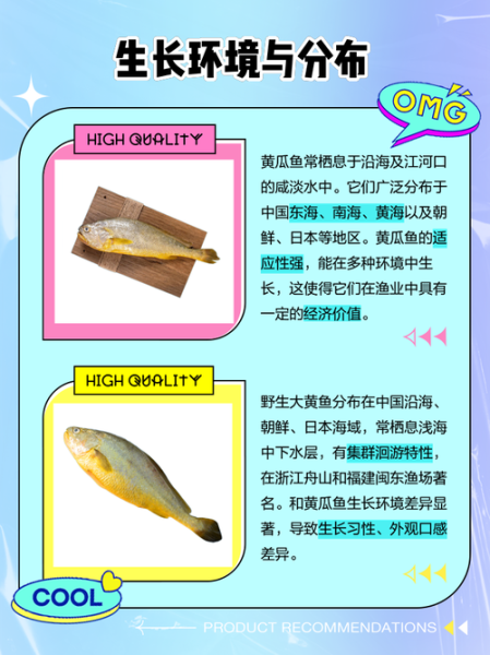 黄瓜鱼和黄花鱼哪个贵_价格差异原因-第1张图片-山城妙识