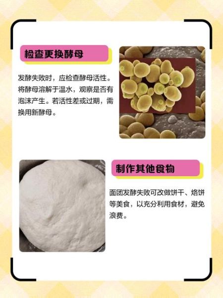 面点怎么和面更筋道_面点发酵失败怎么办-第1张图片-山城妙识