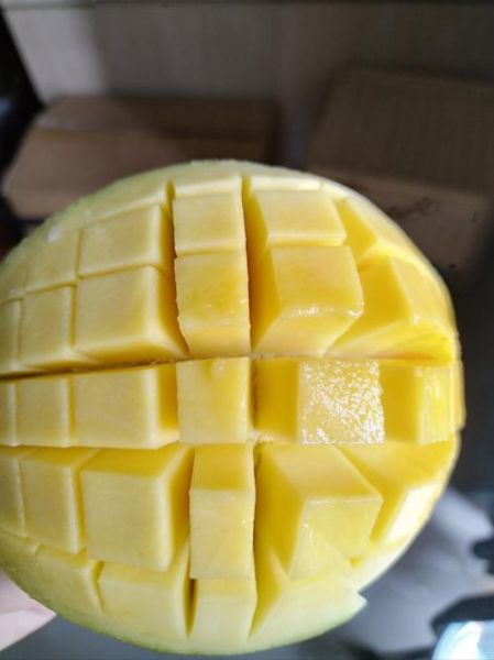 芒果怎么吃最好吃_芒果的吃法大全集-第2张图片-山城妙识 芒果怎么吃最好吃_芒果的吃法大全集-第2张图片-山城妙识