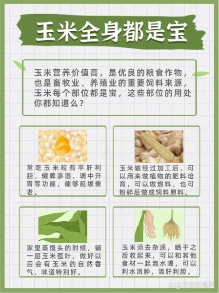 长期吃玉米的好处有哪些_玉米的营养价值高吗-第1张图片-山城妙识 长期吃玉米的好处有哪些_玉米的营养价值高吗-第1张图片-山城妙识