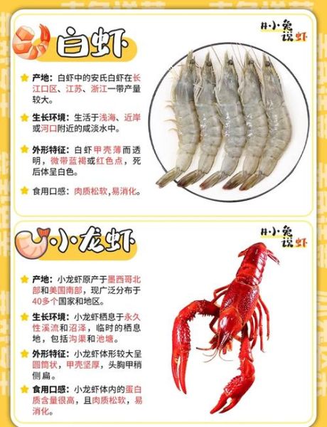 虾的营养价值高吗_虾的禁忌有哪些-第1张图片-山城妙识 虾的营养价值高吗_虾的禁忌有哪些-第1张图片-山城妙识