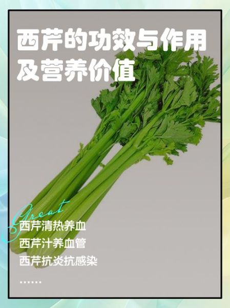 西芹的功效与作用_西芹的禁忌有哪些-第1张图片-山城妙识