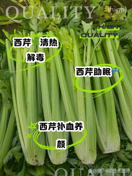 西芹的功效与作用_西芹的禁忌有哪些-第2张图片-山城妙识