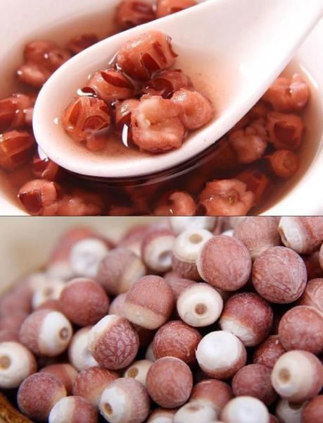 鸡头米一次吃多少合适_鸡头米吃多了会怎样-第1张图片-山城妙识 鸡头米一次吃多少合适_鸡头米吃多了会怎样-第1张图片-山城妙识