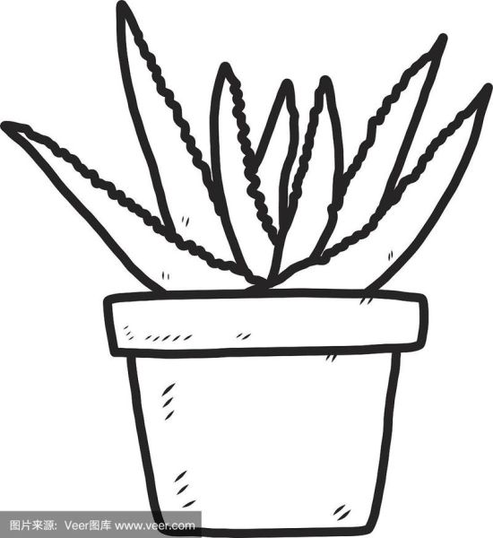 芦荟简笔画怎么画_芦荟图片简笔画步骤-第3张图片-山城妙识