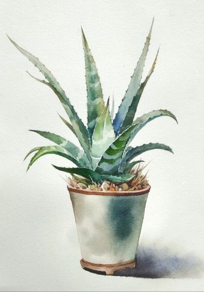 芦荟简笔画怎么画_芦荟图片简笔画步骤-第1张图片-山城妙识