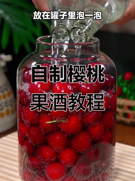 自制樱桃酒怎么做_樱桃酒发酵多久能喝-第2张图片-山城妙识 自制樱桃酒怎么做_樱桃酒发酵多久能喝-第2张图片-山城妙识