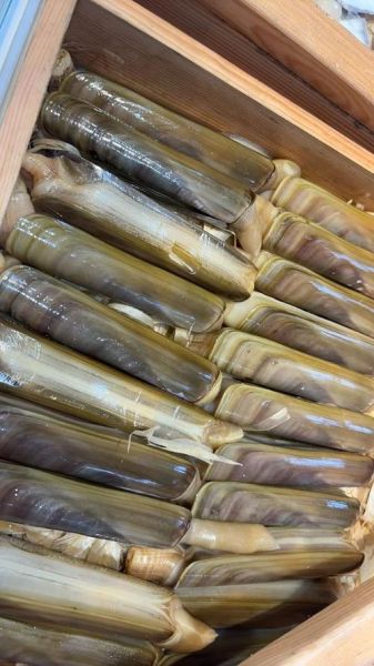 蛏子王多少钱一斤_蛏子王价格行情-第1张图片-山城妙识