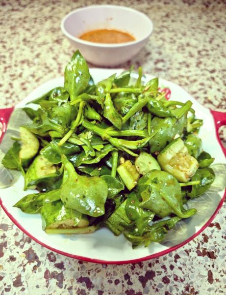 穿心莲凉拌怎么做好吃_穿心莲焯水几分钟最佳-第1张图片-山城妙识