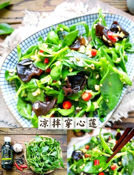 穿心莲凉拌怎么做好吃_穿心莲焯水几分钟最佳-第2张图片-山城妙识