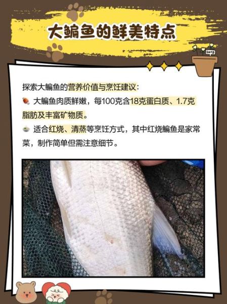 鳊鱼价格一斤多少钱_鳊鱼多少钱一斤-第1张图片-山城妙识 鳊鱼价格一斤多少钱_鳊鱼多少钱一斤-第1张图片-山城妙识