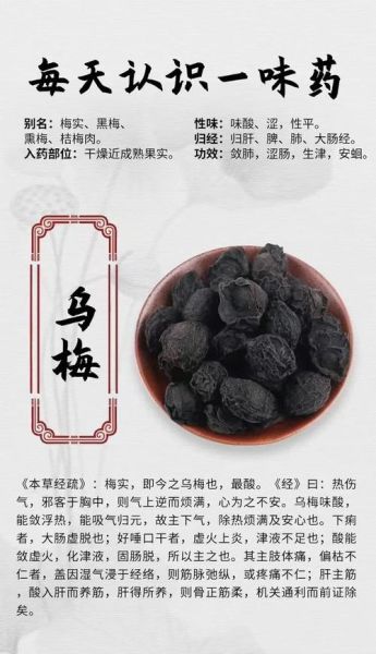 乌梅长什么样_乌梅的功效与作用-第1张图片-山城妙识 乌梅长什么样_乌梅的功效与作用-第1张图片-山城妙识