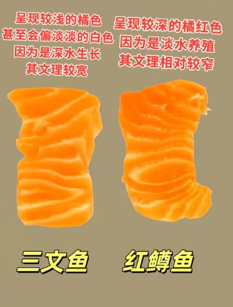 虹鳟鱼和三文鱼的区别_哪个更好吃-第2张图片-山城妙识 虹鳟鱼和三文鱼的区别_哪个更好吃-第2张图片-山城妙识