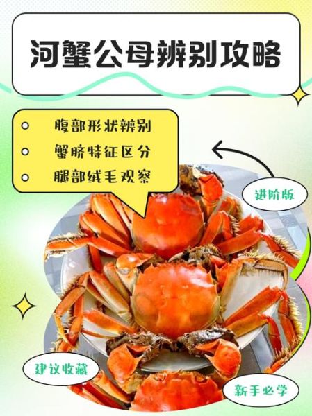 河蟹是什么意思_女帮男河蟹是啥意思-第2张图片-山城妙识