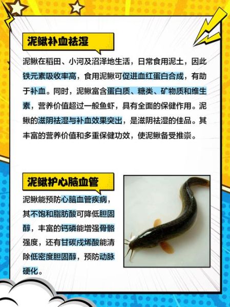 男人吃泥鳅有什么好处_泥鳅对男性功效与作用-第1张图片-山城妙识