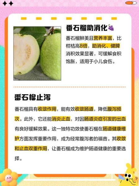 石榴的营养价值与功效_石榴有哪些作用-第2张图片-山城妙识