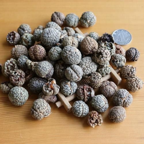 草寇图片_草寇长什么样-第1张图片-山城妙识