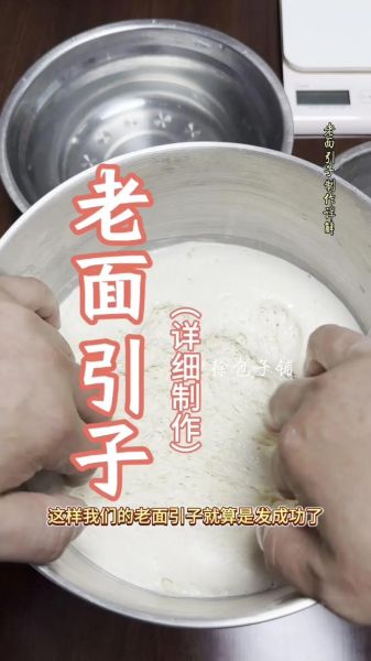 老式发面怎么做_老面引子怎么保存-第1张图片-山城妙识