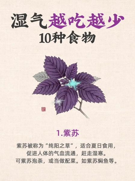 去湿气的食物有哪些_怎么吃效果最好-第2张图片-山城妙识 去湿气的食物有哪些_怎么吃效果最好-第2张图片-山城妙识