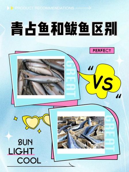 鲅鱼种类有哪些_如何区分鲅鱼品种-第2张图片-山城妙识