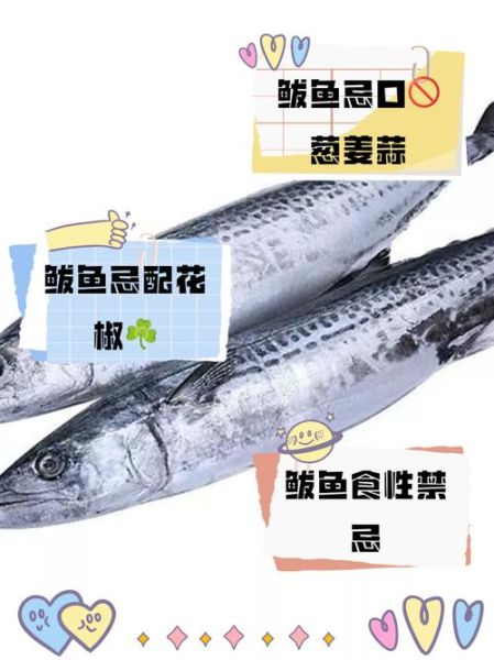 鲅鱼种类有哪些_如何区分鲅鱼品种-第3张图片-山城妙识