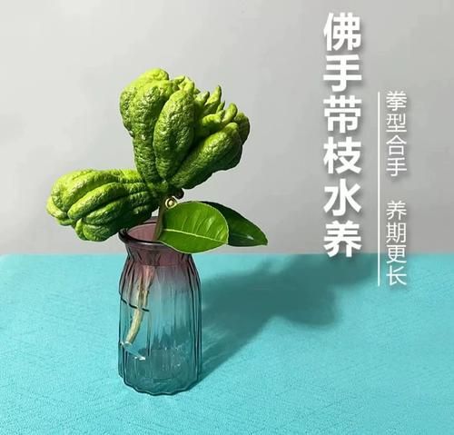 佛手果怎么做好吃_佛手果的做法大全集-第3张图片-山城妙识