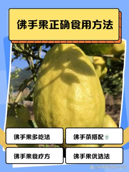 佛手果怎么做好吃_佛手果的做法大全集-第1张图片-山城妙识