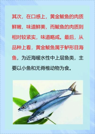 鲅鱼怎么读拼音_鲅鱼是海鱼吗-第1张图片-山城妙识 鲅鱼怎么读拼音_鲅鱼是海鱼吗-第1张图片-山城妙识