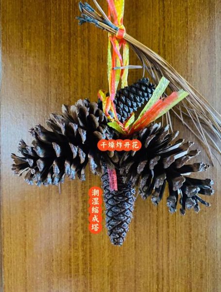 松果怎么吃_松果的食用方法-第2张图片-山城妙识