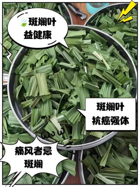 斑斓叶煮水喝有啥功效_斑斓叶水的禁忌-第1张图片-山城妙识